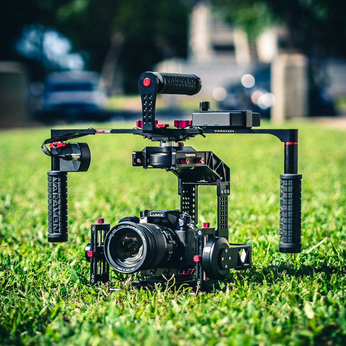 Varavon Birdycam 2 - Suggestion of Motion